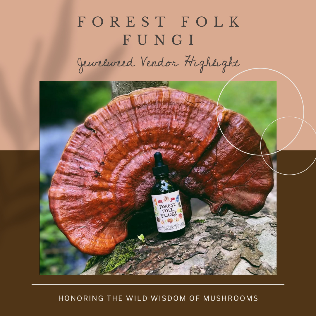 Vendor Highlight: Forest Folk Fungi – Jewelweed